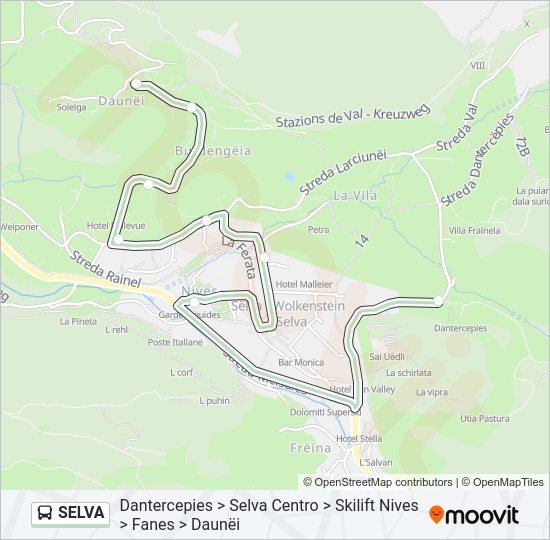 SELVA Route: Schedules, Stops & Maps - Dantercepies > Selva Centro ...