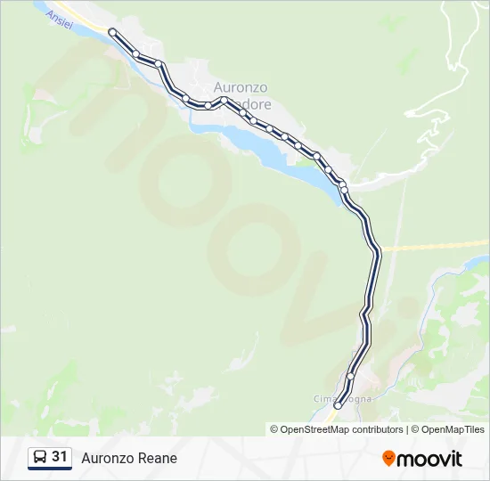 31 Route: Schedules, Stops & Maps - Auronzo Reane (Updated)