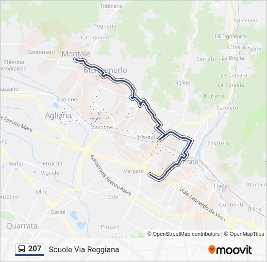 207 Route: Schedules, Stops & Maps - Scuole Via Reggiana (Updated)