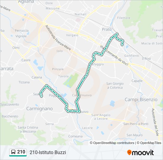 210 Route: Schedules, Stops & Maps - 210-Istituto Buzzi (Updated)