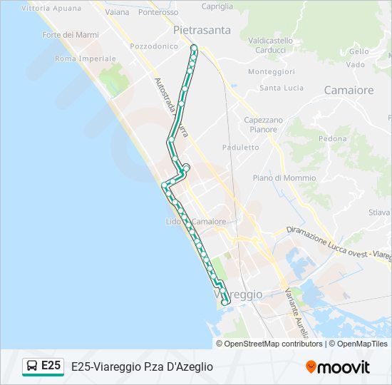 e25 Route: Schedules, Stops & Maps - E25-Viareggio P.za D'Azeglio (Updated)
