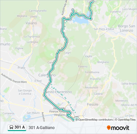 301 a Route: Schedules, Stops & Maps - 301 A-Galliano (Updated)