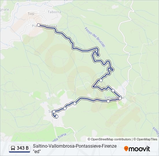343 b Route: Schedules, Stops & Maps - Pian Di Melosa (Updated)