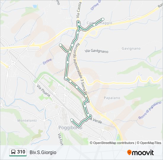 310 Route: Schedules, Stops & Maps - Biv.S.Giorgio (Updated)