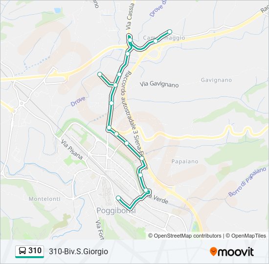 310 Route: Schedules, Stops & Maps - 310-Biv.S.Giorgio (Updated)