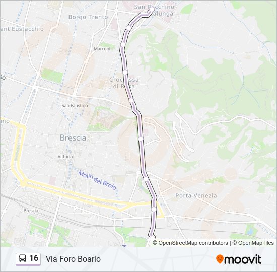 16 Route: Schedules, Stops & Maps - Via Foro Boario (Updated)