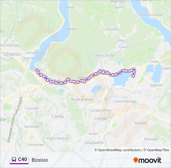 C40 Route: Schedules, Stops & Maps - Bosisio (Updated)