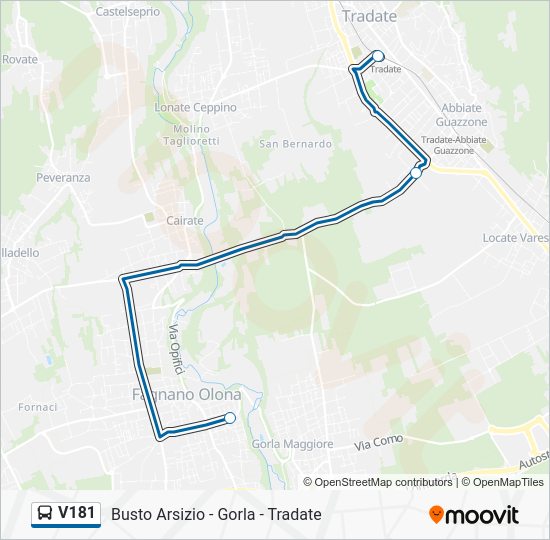 V181 Route: Schedules, Stops & Maps - Fagnano O. - Diretta (Updated)