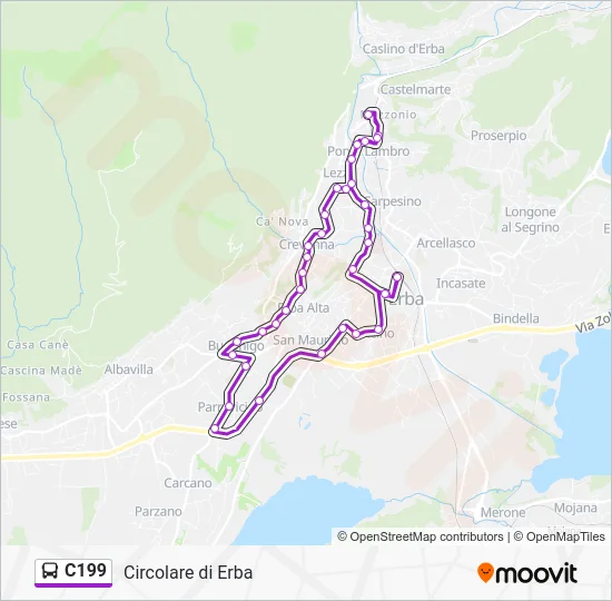 Linea C199: orari, fermate e mappe - Circolare Interna (Aggiornato)
