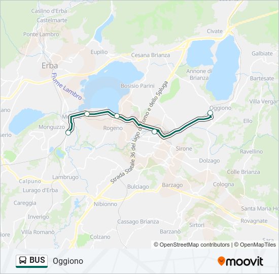 bus Route: Schedules, Stops & Maps - Oggiono (Updated)