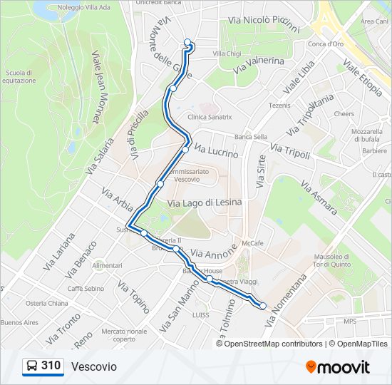 310 Route: Schedules, Stops & Maps - Vescovio (Updated)