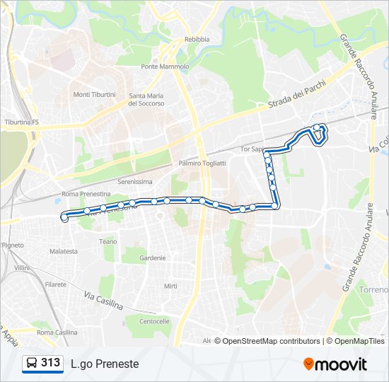 313 Route: Schedules, Stops & Maps - L.go Preneste (Updated)