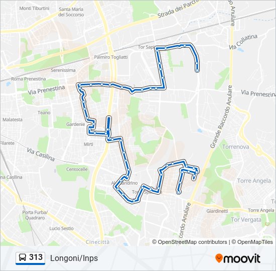 313 Route: Schedules, Stops & Maps - Longoni/Inps (Updated)