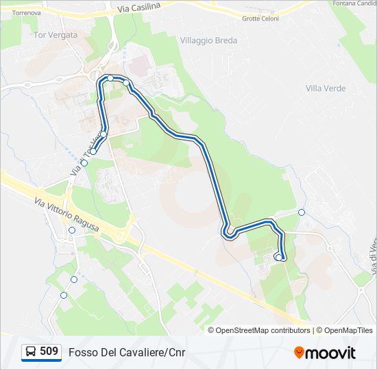509 Route: Schedules, Stops & Maps - Fosso Del Cavaliere/Cnr (Updated)