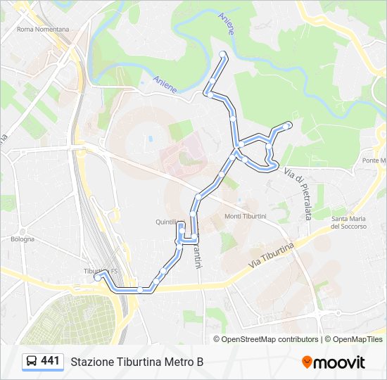 441 Route: Schedules, Stops & Maps - Stazione Tiburtina Metro B (Updated)