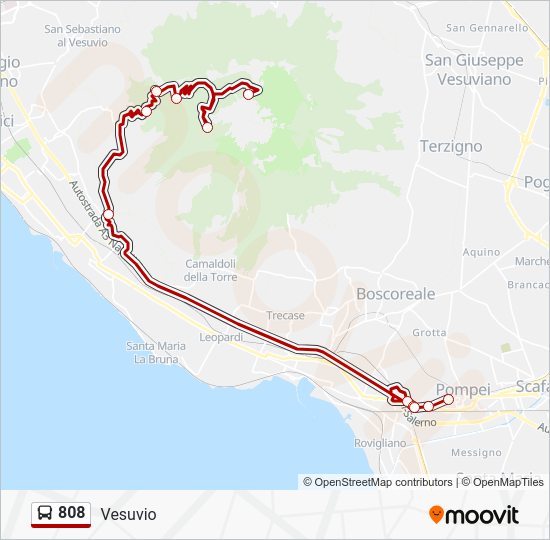 808 Route: Schedules, Stops & Maps - Vesuvio (Updated)
