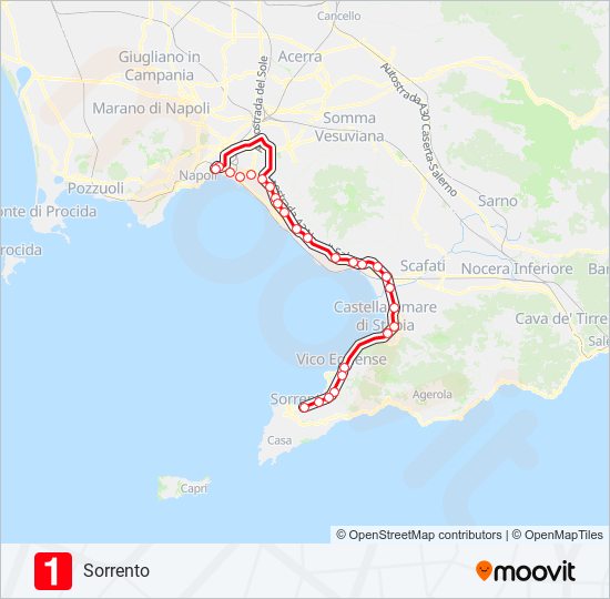 l1 Route: Schedules, Stops & Maps - Sorrento (Updated)