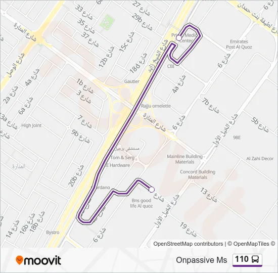 110 Route: Schedules, Stops & Maps - Onpassive Ms (Updated)